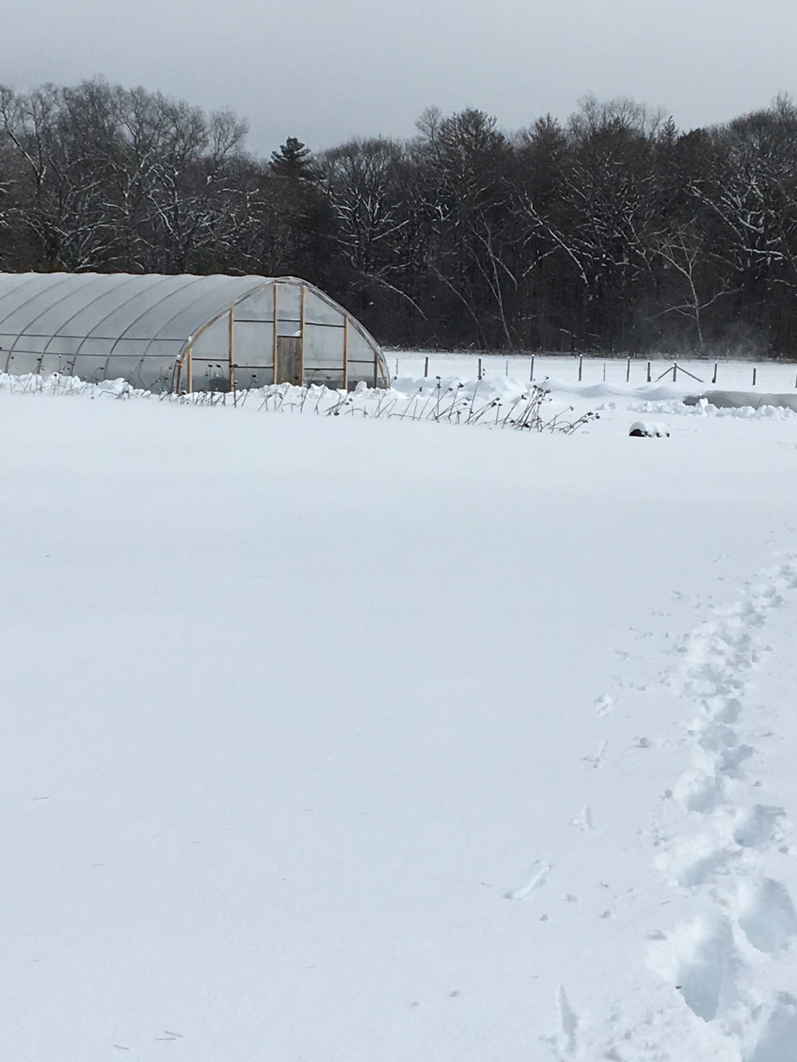 Photo Calendar – Twelve Moon Farm